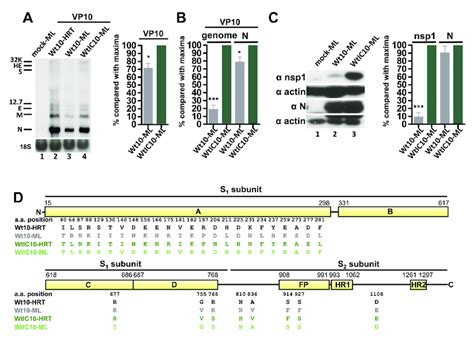 Adaptation Capability Of The Selected Bcov Variant Wtic10 In Ml Cells