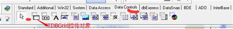 Delphi开发学习三：tdatasource 控件与 Tdbgrid 控件使用实例delphi Datasource Csdn博客