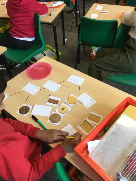 Classification In Science Class 4jc