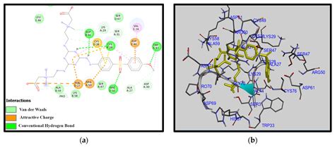 Computational Analysis Of Amine Functionalization In Zwitterionized