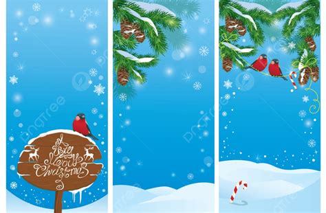Set Of Vertical Banners With Fir Tree Branches And Bullfinch Birds On