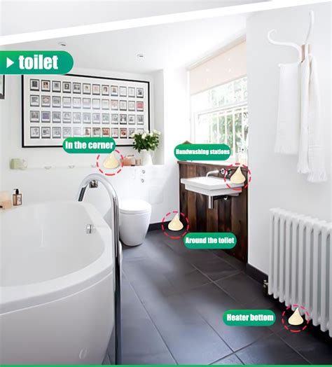 Japan Cockroach Killer Bait Cockroach Gel Cockroach Bait Death Shopee Philippines