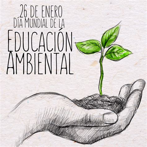 Dia Mundial De La Educacion Ambiental Por Que Se Celebra El 26 De Eroppa