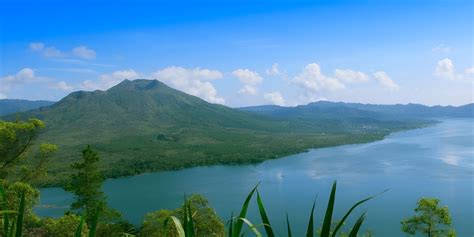 Bali Full Day Tour Ubud Waterfall And Kintamani Tour