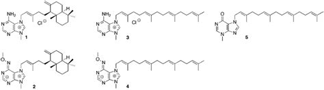 Molecular Structures Of Agelasine D 1 Agelasine Analogues 2 4