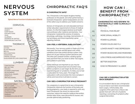 Introduction To Chiropractic Patient Brochure Pdf Download Editable