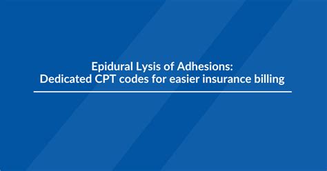 Epidural Lysis Of Adhesions An Overview Of Its Reimbursement Epimed