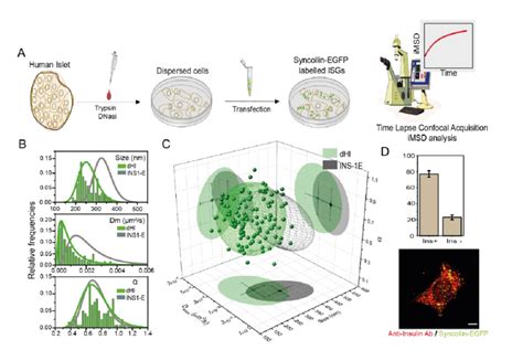 Imsd Based Screening Of Isgs Structural And Dynamic Properties In
