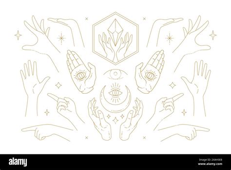 Female Hands Gestures Collection Of Line Art Hand Drawn Style Vector