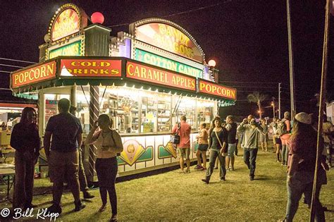 Zenfolio Wildlife Photography By Bill Klipp Fantasy Fest Wanderings