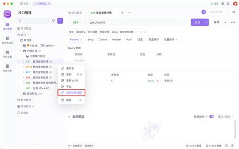 团队协作 apifox 帮助文档