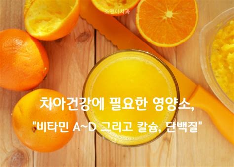치아건강에 필요한 영양소 비타민 A~d 그리고 칼슘 단백질 네이버 블로그
