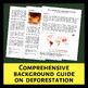 Deforestation Model UN Simulation By Miss Bee S Bodega TpT