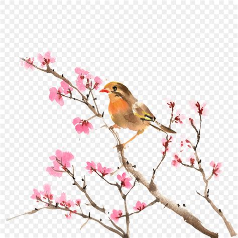 복숭아 꽃과 새 수묵화 손으로 그린 중국 스타일 Png 일러스트 및 Psd 이미지 무료 다운로드 Pngtree