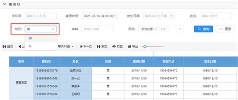 查询条件 JimuReport 文档