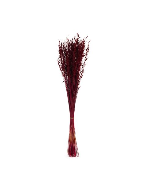 Princess Grass Red Ni Bynature Wholesale