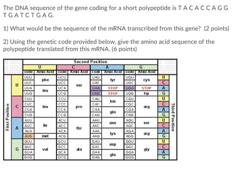 Solved The Dna Sequence Of The Gene Coding For A Short