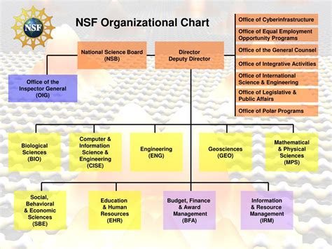 Ppt Introduction And Nsf Overview Powerpoint Presentation Free