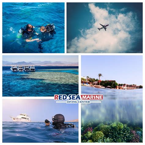 Dive In Sharm El Sheikh Diving Boat Trips For Certified Divers