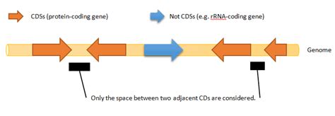 Intergenic Region Ezbiocloud Help Center
