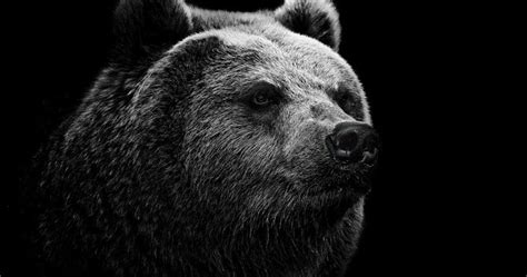 Programação GLOBAL VBA Tips Como verificar um caractere de tabulação no VBA