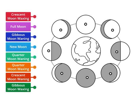 Label Moon Phases Diagram Labelled Diagram