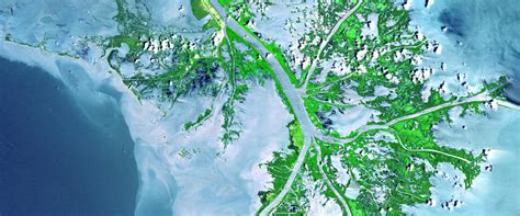 Mississippi River Delta Sediment