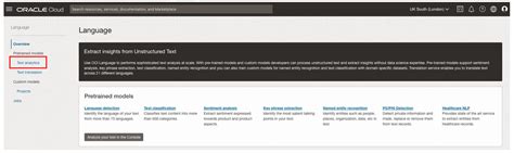 Detecting And Masking Personal Identifiable Information Using Oci Language Model And Oracle Analytics