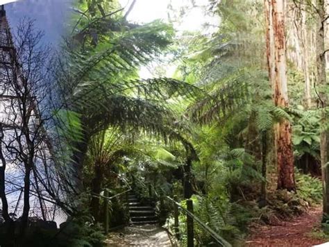 Boutique Accommodation Retreat Freehold Dandenong Ranges In Mount
