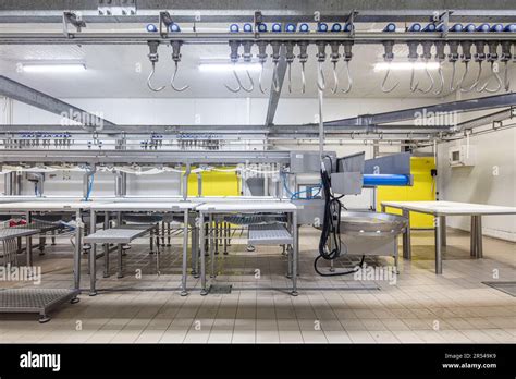 Meat Processing Machines At Meat Factory Cutting Meat In Slaughterhouse Meat Processing