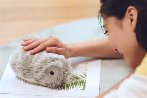 Casio Made A Furry Robot Designed To Cuddle And Calm You Down The Verge