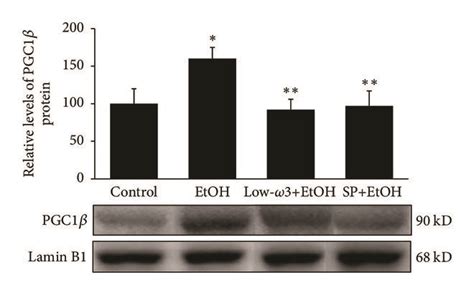 Influence Of Etoh Low ω3fa And Sp On Lipogenic Pathway Total Rna