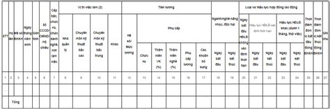 Mẫu báo cáo tình hình sử dụng lao động mới nhất 2024 theo NĐ 145
