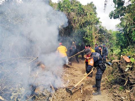 Incendios Forestales Dañan 20 Mil Hectáreas En Oaxaca Diario Marca