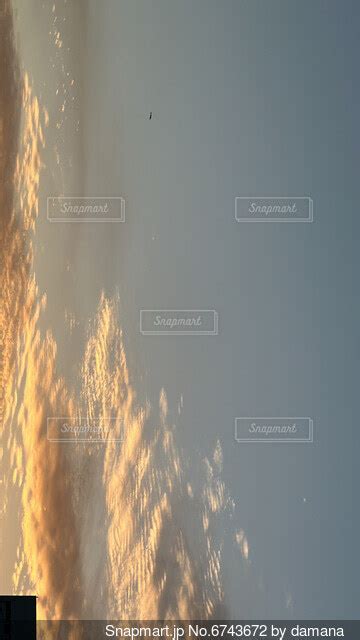 帰り道の写真・画像素材 Snapmart（スナップマート）