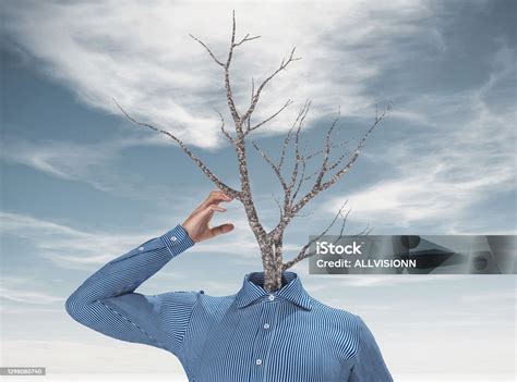 머리 대신 죽은 나무와 머리가없는 사람 혼란과 의심 개념 이것은 3d 렌더 그림입니다 비현실적에 대한 스톡 사진 및 기타 이미지