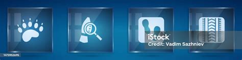 곰 발 발자국 발자국이있는 돋보기 인간 발자국 신발 및 타이어 트랙을 설정합니다 정사각형 유리 패널 벡터 검색에 대한 스톡 벡터