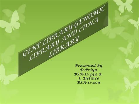 Binary Vector By Kk Sahu Sir Pptx