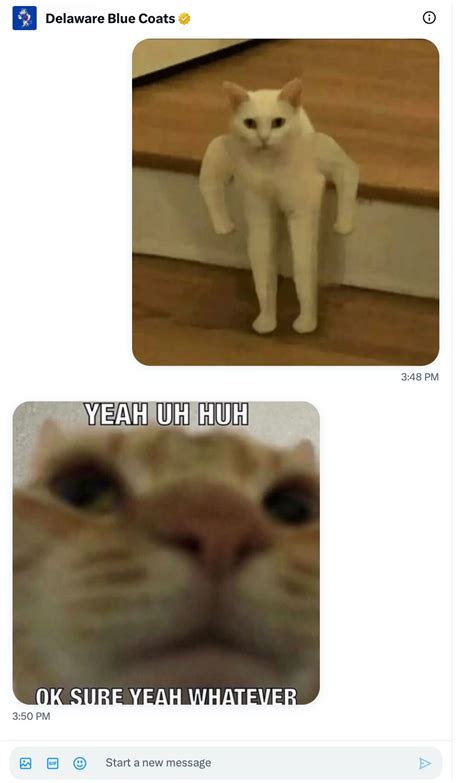 Yeah Sure Whatever Meme