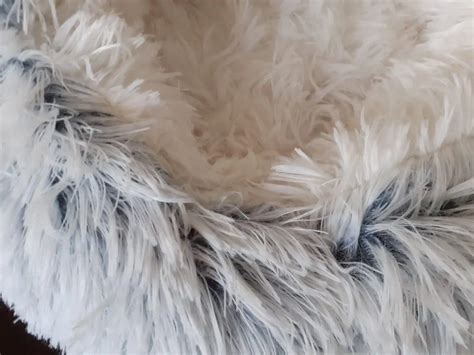 Cozy Curl Nest Pawtopia