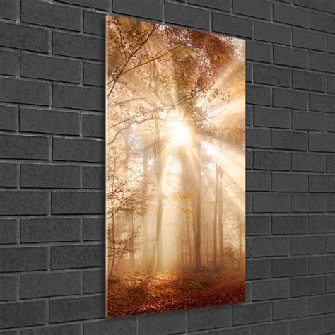 Wand Bild Kunstdruck Aus Hart Glas Hochformat X Herbstwald EBay