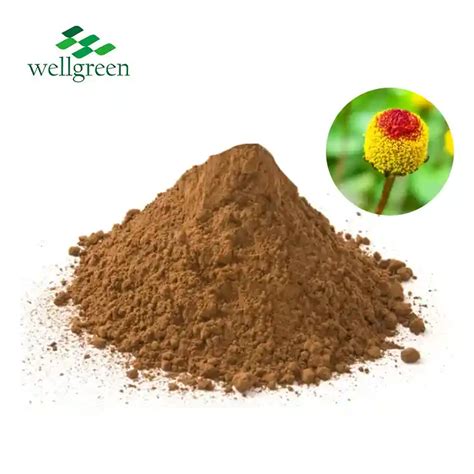 China Acmella Oleracea Extract Manufacturers Suppliers Factory