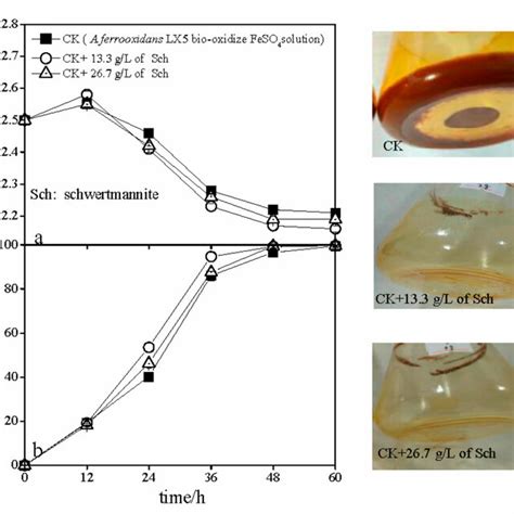 Micropore Mesopore And Macropore Volumes Of Schwertmannite Adhered To