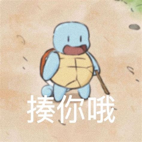 杰尼龟表情包 高清图片，堆糖，美图壁纸兴趣社区