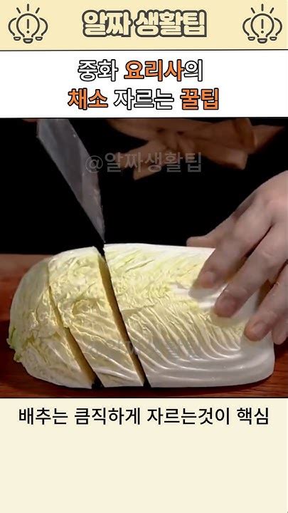 중화 요리사의 채소 자르는 꿀팁 Youtube