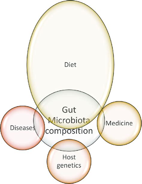 A Diagram Showing Main Factors Affecting The Gut Microbiota Composition