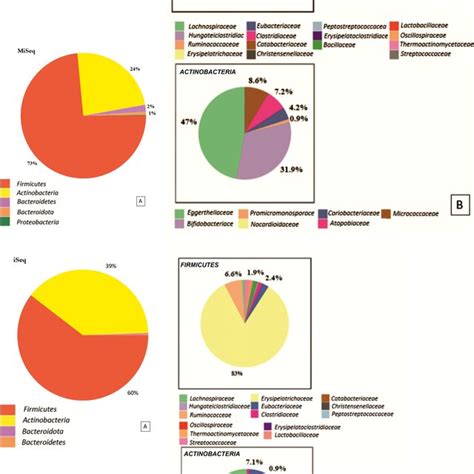 The Pie Charts Show The Abundance Profiles Of One Randomly Selected
