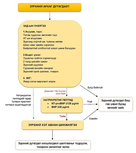 Зүрх судасны төв