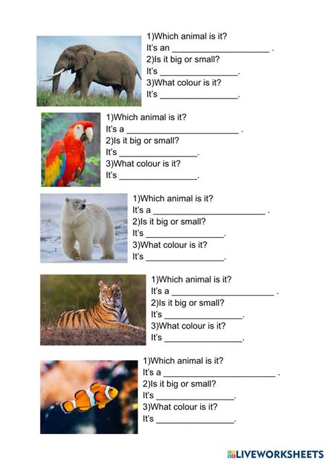 1110465 Describing Animals Cecilautorres