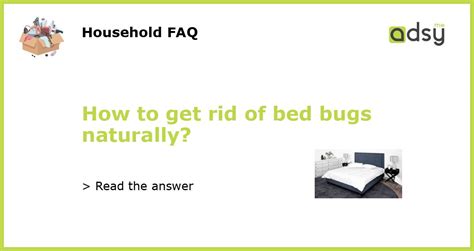 How To Get Rid Of Bed Bugs Naturally